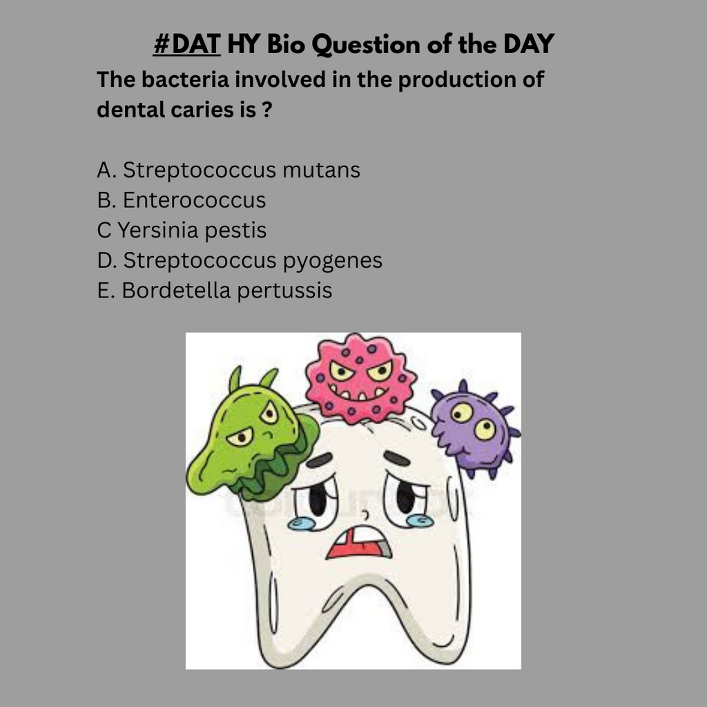 DAT - DAT Biology High-Yield Question: Dental Caries Bacteria| DAT ...
