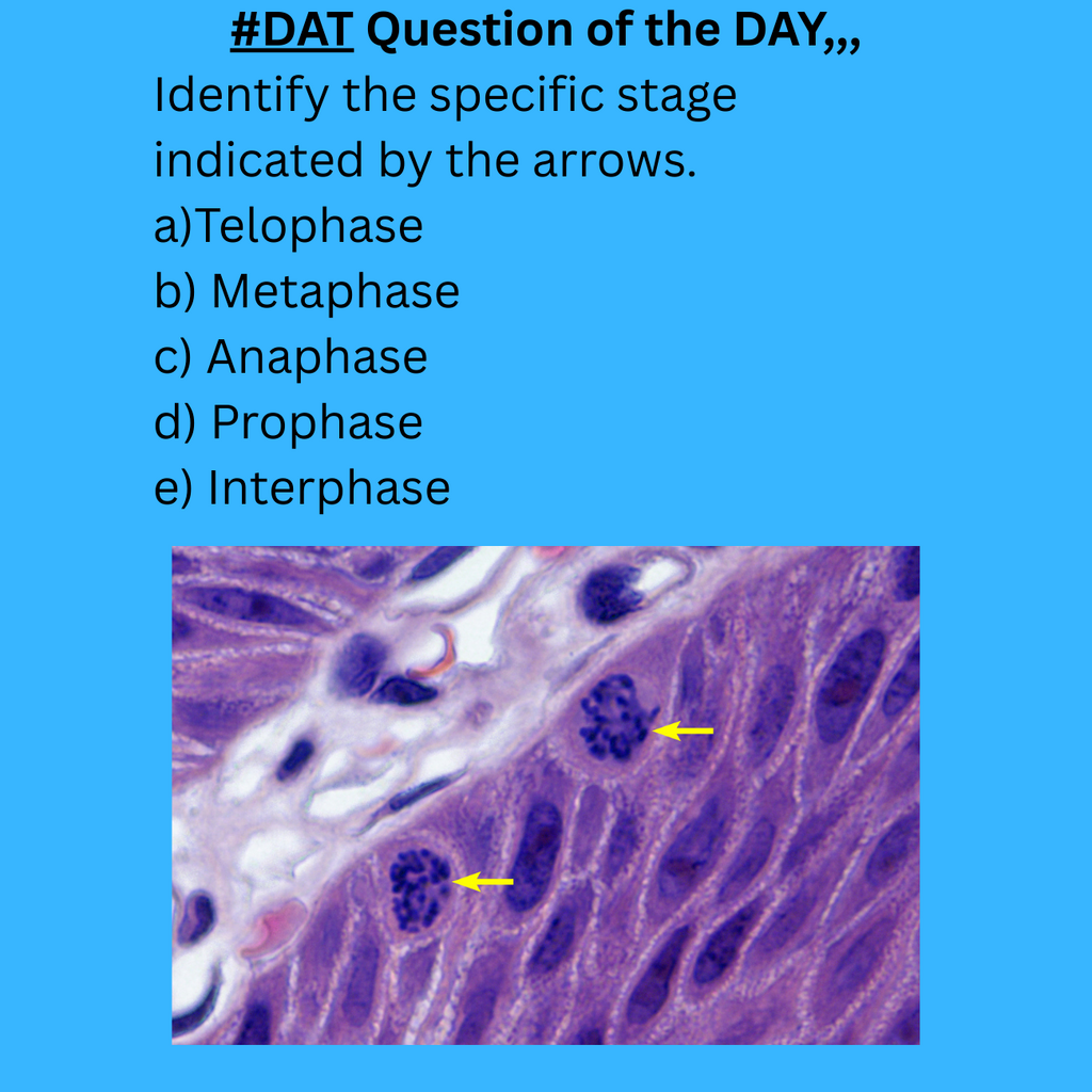 DAT - Must DAT Bio | DAT Destroyer | OAT Destroyer | Student Doctor ...