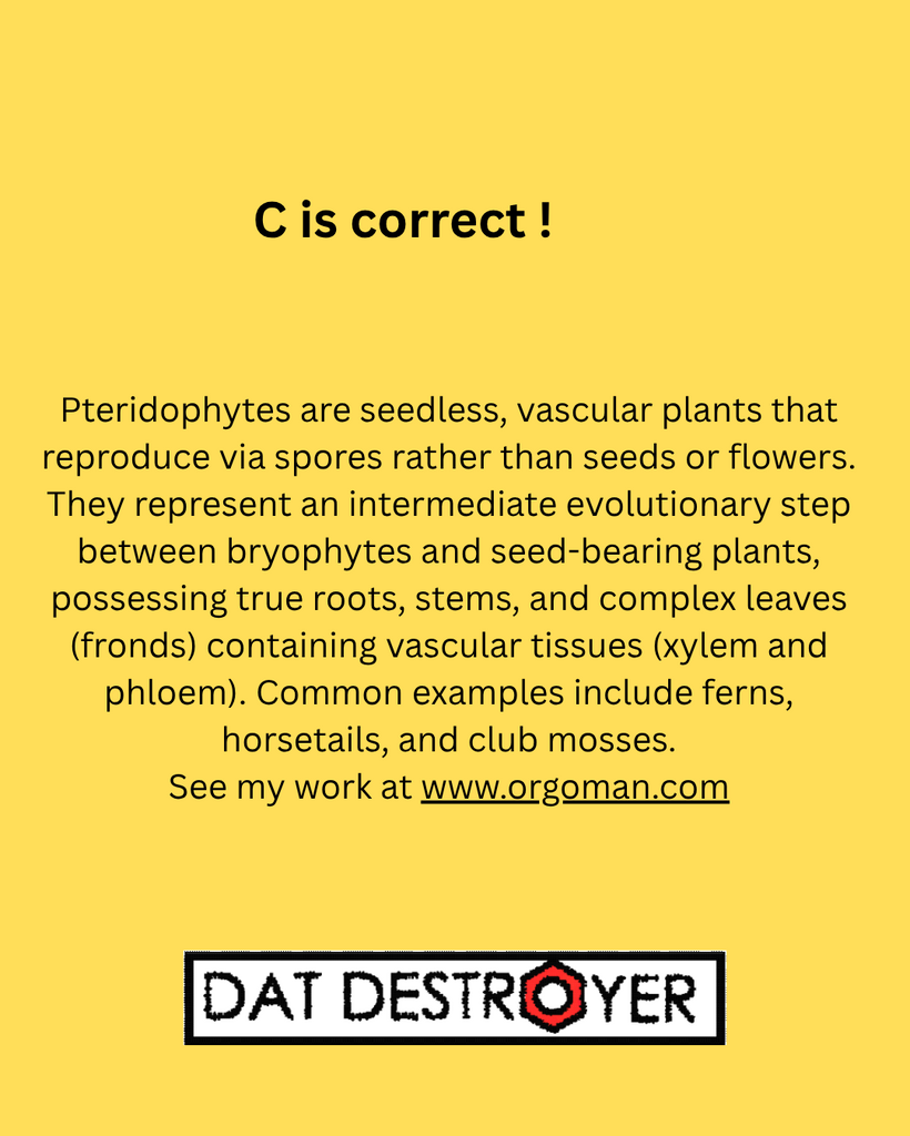 DAT - DAT Biology — Ferns and Vascular Tissue (High-Yield Concept) | Dr ...