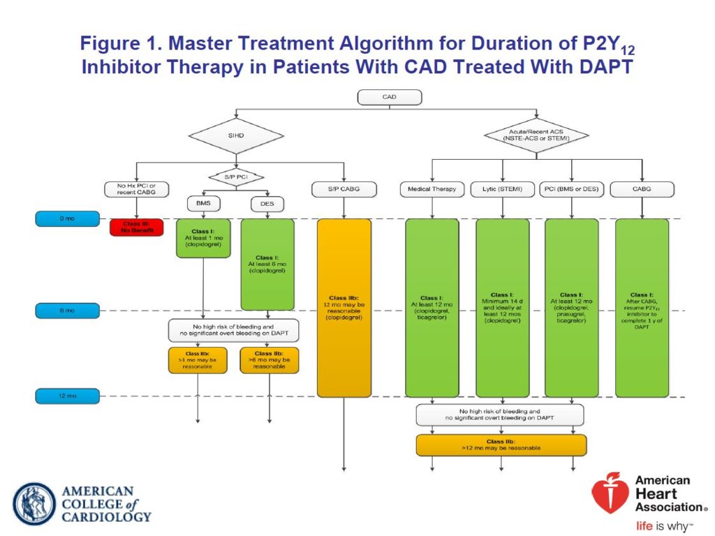New Absorbable Cardiac Stent | Student Doctor Network Forums