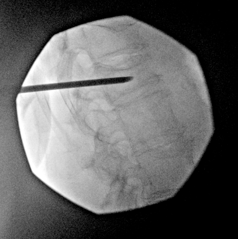 Pictures of the Week | Page 63 | Student Doctor Network Forums